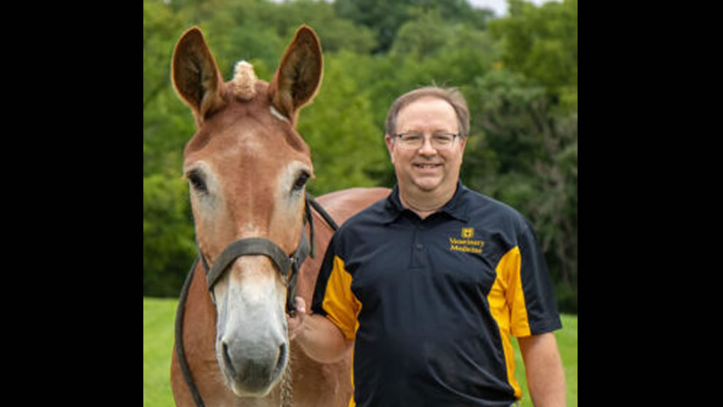 Snider Named Associate Dean for Academic and Student Affairs – College ...