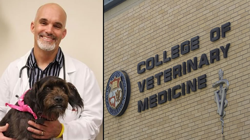 ‘Click’ Chemistry May Help Treat Dogs With Bone Cancer, MU Study Finds ...