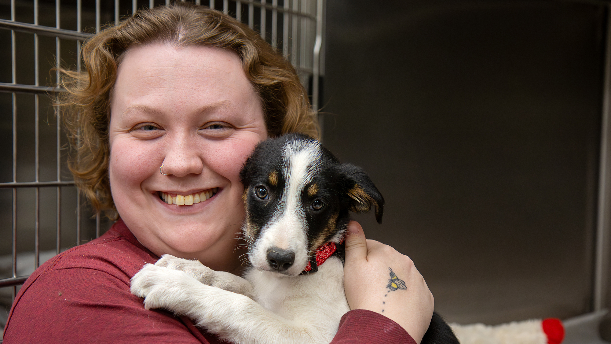 Danielle Hurd named December PAWsome Award winner – College of Veterinary Medicine
