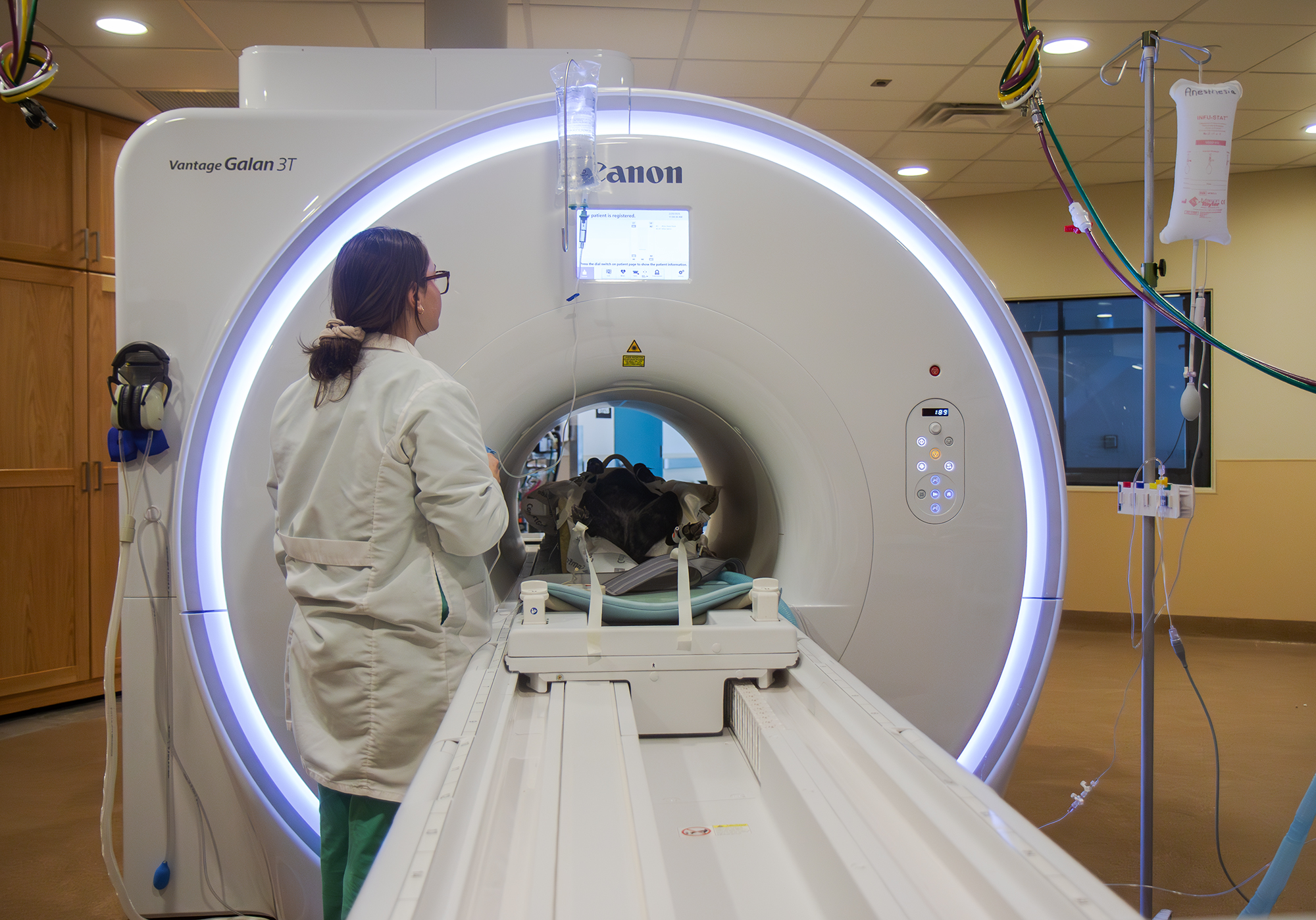 Veterinary Health Center introduces state-of-the-art MRI to Missouri ...