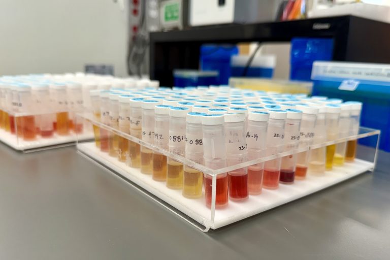 A new era for veterinary diagnostics – College of Veterinary Medicine