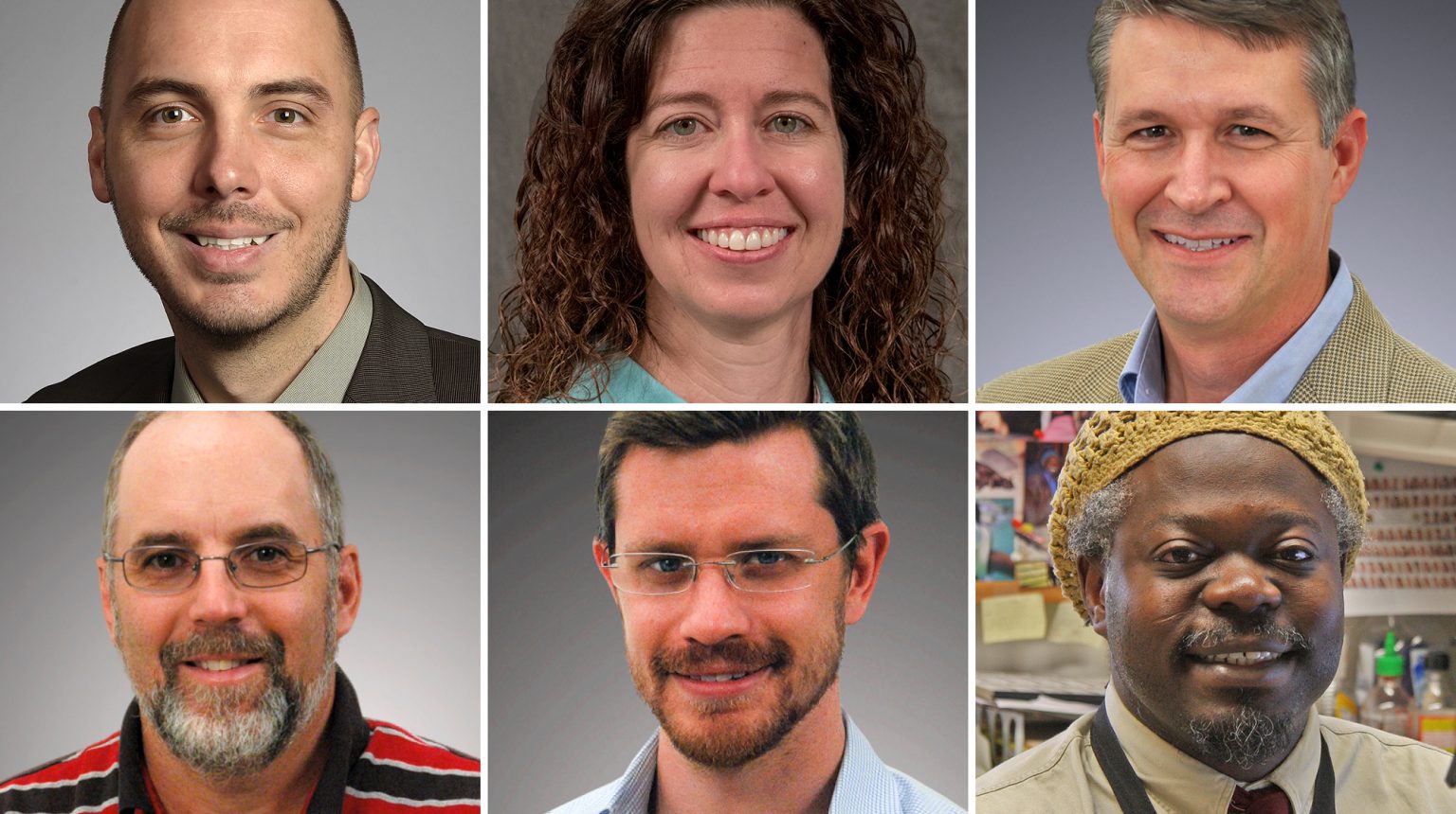 2025 College of Veterinary Medicine promotions and tenure – College of Veterinary Medicine