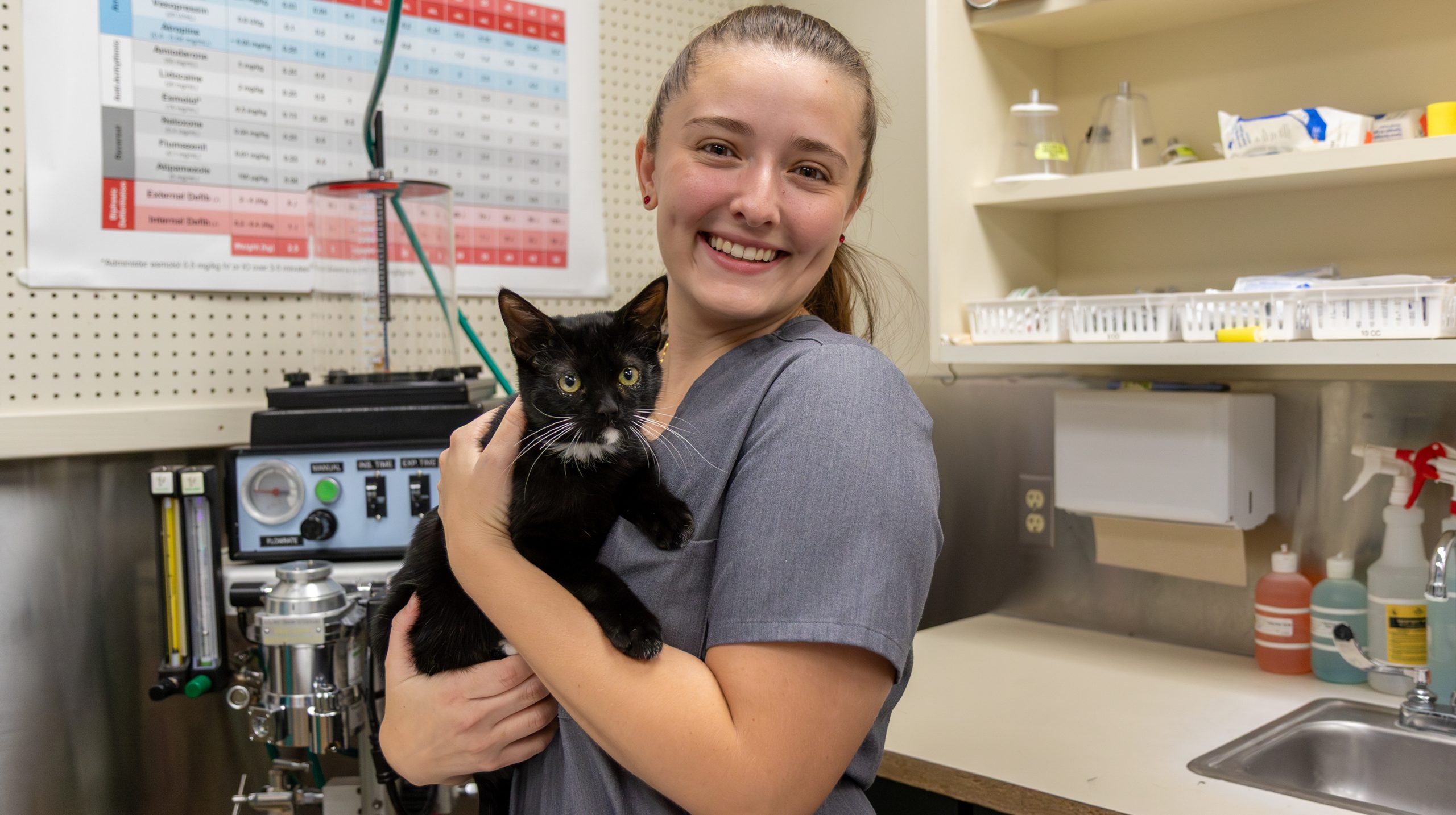 A journey with purpose – College of Veterinary Medicine