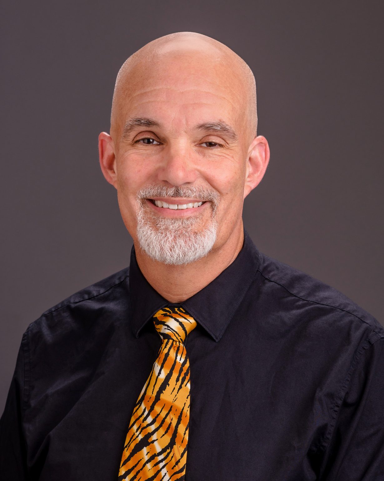 VMS Faculty – College of Veterinary Medicine